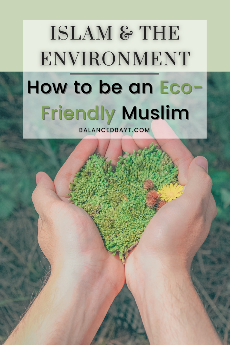 Islam and the Environment – How to be an Eco-Friendly Muslim ...